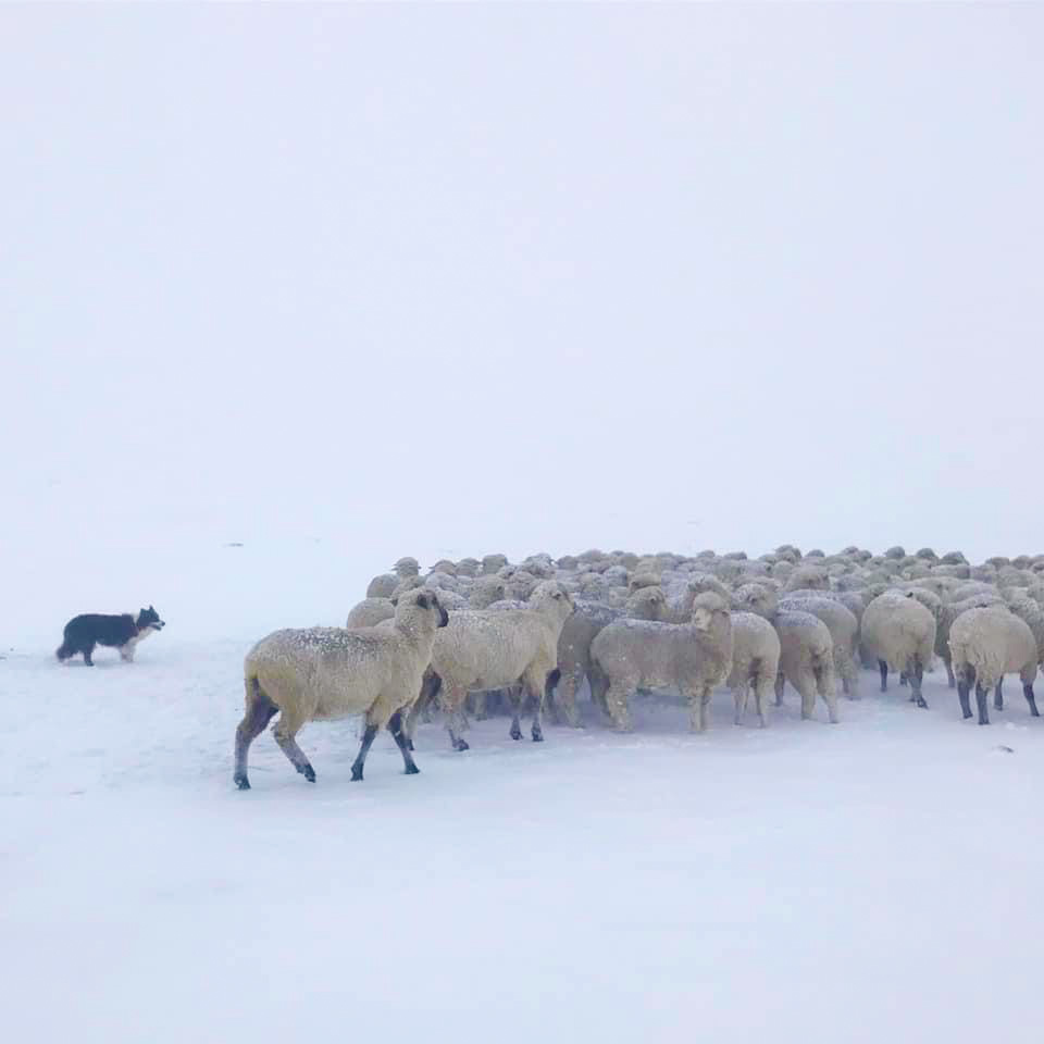 Going after the ONE! | Laura Hicks